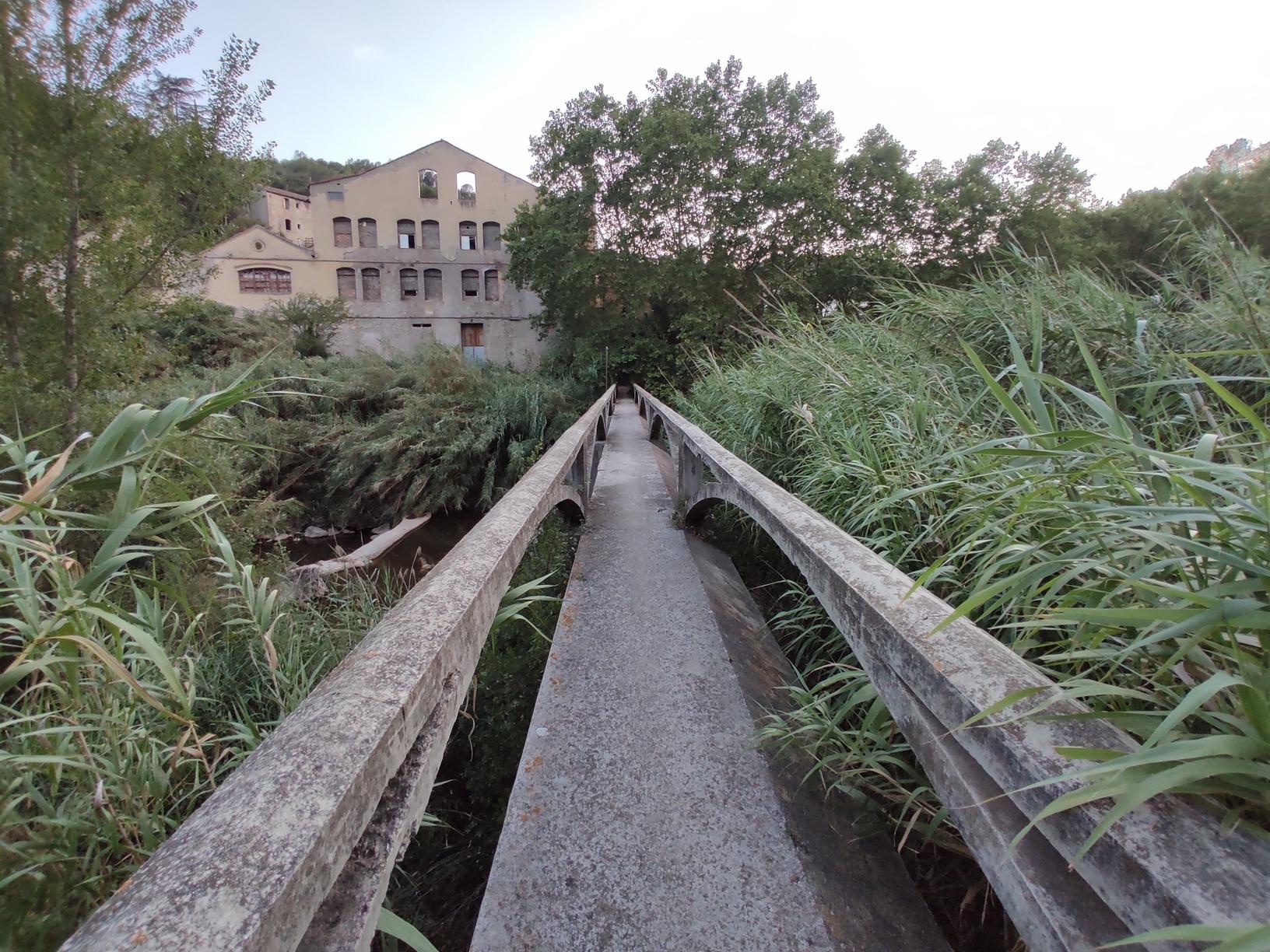 Climate Cultures Call: Our Grantees — Allianz Foundation