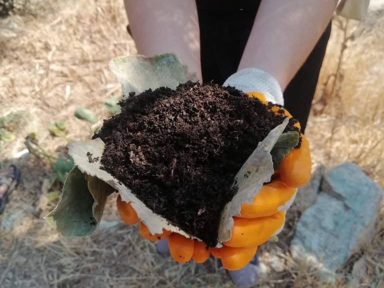 Climate Cultures Call: Our Grantees — Allianz Foundation